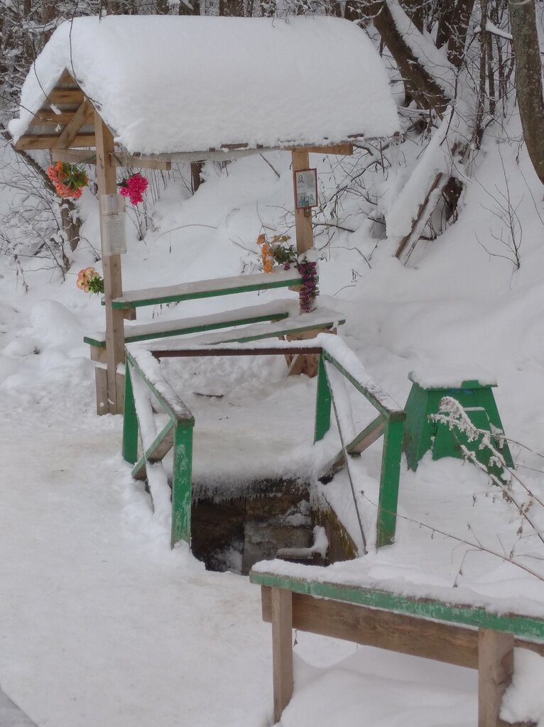 Pınar, çay Spring, stream, Vologodskaya oblastı, foto