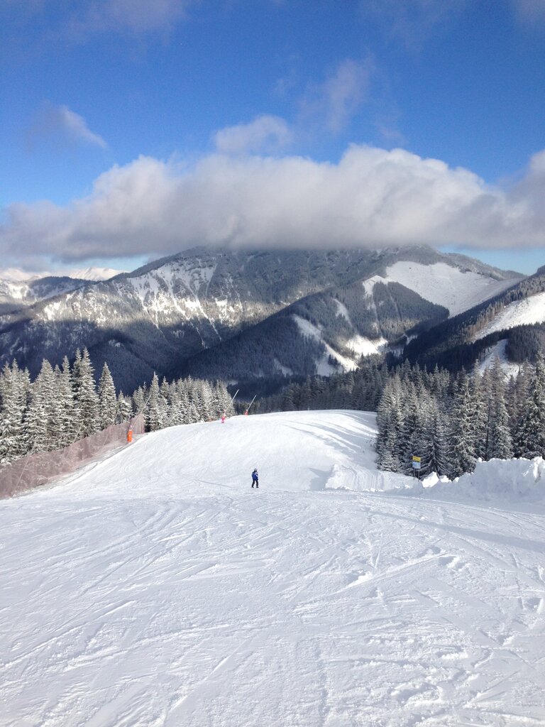 Dağ zirvesi vrch Chopok, Zilina Region, foto