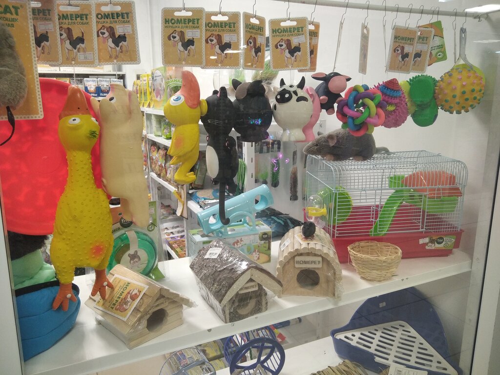 Petshop Зоотовары, Moskova, foto