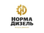Norma Diesel (Radonezhskaya ulitsa No:14/2), motor tamiri  Çeliabinsk'ten