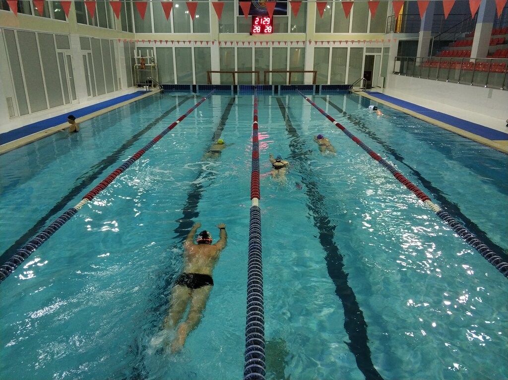 Spor kulüpleri LeoSwimclub, Saint‑Petersburg, foto