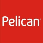 Pelican (Kataev kóshesi No:36/3), giyim mağazası  Pavlodar'dan