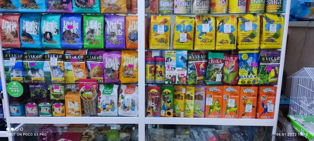 Petshop Зоомагазин, Pechora, foto