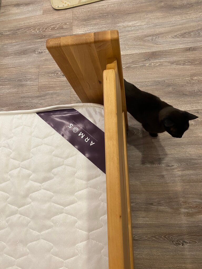 Yatak üreticileri Компания Armos Пенза, Penza, foto