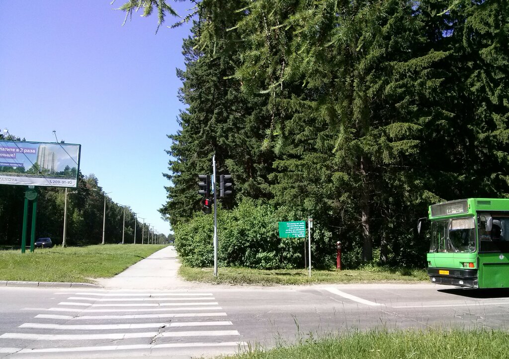 Turistik yerler Цитата М. Пришвина о соснах, Novosibirsk, foto