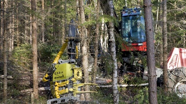 Bahçe ekipmanları ve teknolojileri Skogs Kalle Ab, Kronoberg Vilayeti, foto