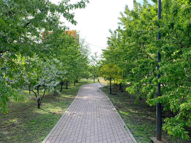 Parklar ve ormanlar Яблоневый сад, Himki, foto