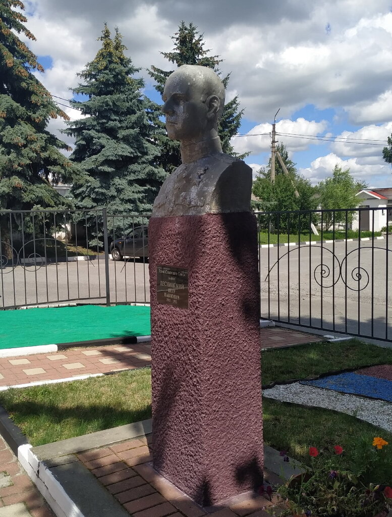 Anıt, heykel Бюст Героя Советского Союза Десницкого П.П., Belgorodskaya oblastı, foto