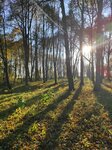 Spring, stream (Moscow Region, Kashira Urban District, derevnya Starodub), pınar, çay  Moskova ve Moskovskaya oblastından