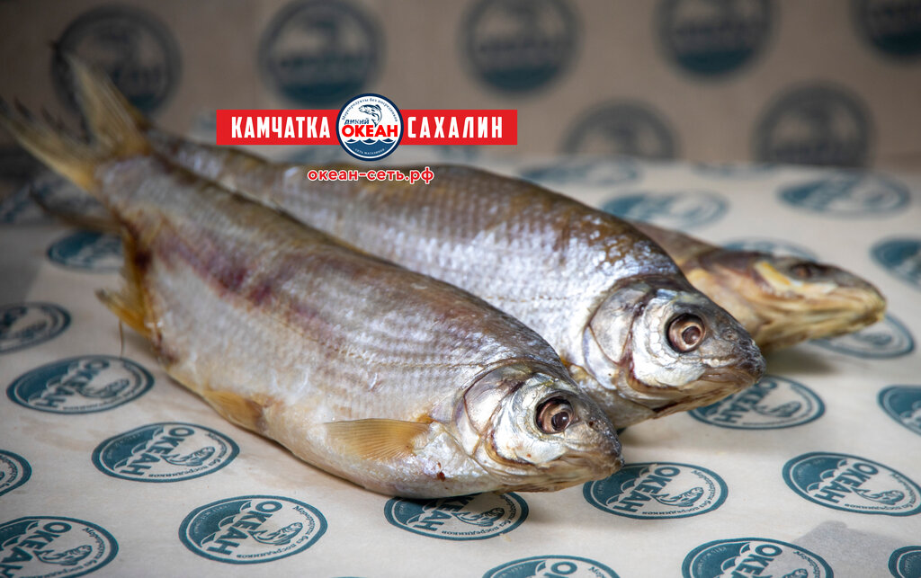 Balık ve deniz ürünleri Океан Камчатка Сахалин, Krasnodarski krayı, foto