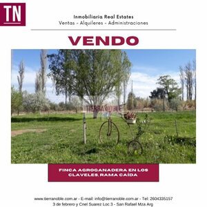 Tierra Noble Inmobiliaria (Provincia de Mendoza, Departamento Las Heras, 3 de Febrero), otel  San Rafael'den