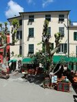Bellambra (Liguria, provincia della Spezia, Via Roma, 69), otel  Ligurya'dan