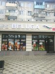 Beluga (No:1, Qarataý shaǵyn aýdany), kafe  Taraz'dan