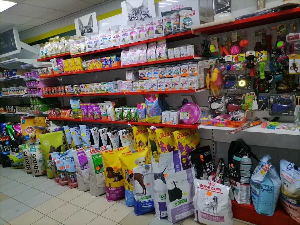 Petshop Zoo-planet.by, Minskaya oblastı, foto