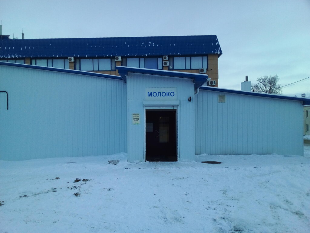 Gıda pazarı Молочный павильон, Kamyşin, foto