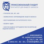 Profstandart LLC (Borisa Bogatkova Street No:210/1, Novosibirsk), muhasebeciler  Novosibirsk'ten
