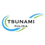 Tsunami Pulizia (Ticino, Lugano, Via al Fiume, 2), temizlik şirketleri  Lugano'dan