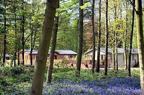 Otel Hollicarrs - Forest Retreat, Kuzey Yorkshire County, foto