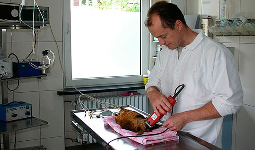 Veteriner klinikleri Dr. Daniel Mertens; Tierarztpraxis am Prinzenpark, Brunswick, foto