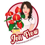 Joli flow (2-ya Sadovaya ulitsa No:33), çiçekçiler  Saratov'dan