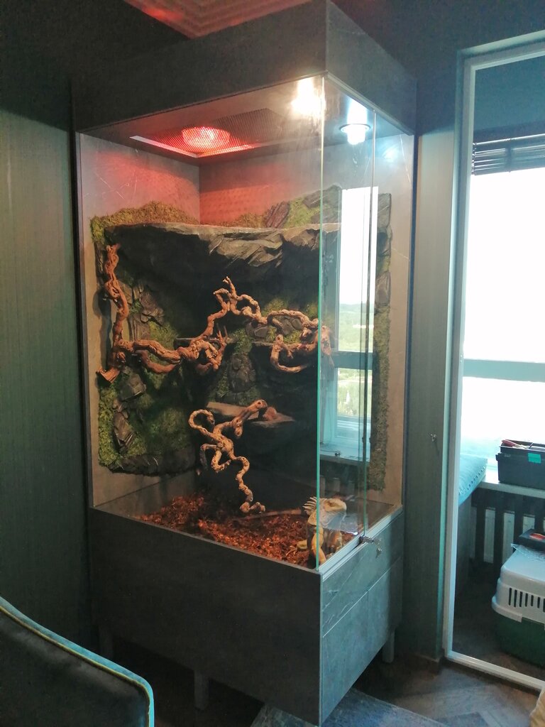 Evcil hayvanlar için ürünler Repti, Yekaterinburg, foto