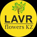 Lavr Flowers.kz (Beıbitshilik kóshesi No:20), çiçekçiler  Astana'dan
