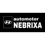Automotor Nebrixa (Avenida Miguel de Unamuno No:44, Lebrija), oto kaporta  Endülüs'ten