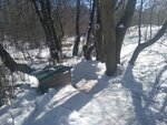 Spring, stream (Moscow Region, Losino-Petrovsky), pınar, çay  Losino‑Petrovski'den