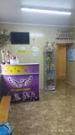 Студия танцев (Molodogvardeyskiy Lane No:93), dans okulları  Rostov‑na‑Donu'dan