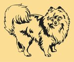 L&o Dog (Aptekarskaya Street No:43, Vtorchermet Urban Housing District), evcil hayvan kuaförleri  Yekaterinburg'dan