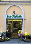 Fratelli Carrara (Via 20 Settembre No:42, Pavia), çiçek teslimatı  Pavia'dan