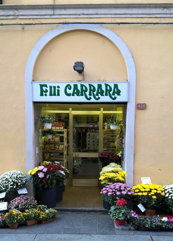 Çiçek teslimatı Fratelli Carrara, Pavia, foto