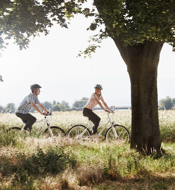 Araç römorkları Fahrradgeschäft Radsport B&s oHG, Bad Soden, Bad Soden am Taunus, foto
