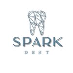 Spark Dent (1st Lyuberetsky Drive No:2с1), diş laboratuvarı  Moskova'dan