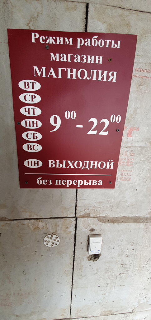 Market Магнолия, Orenburgskaya oblastı, foto