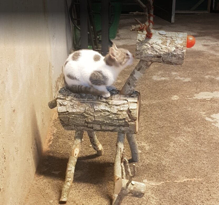 Kerestecilik N. C. Artesanía De La Madera El Ortigal, Kanarya Adaları, foto