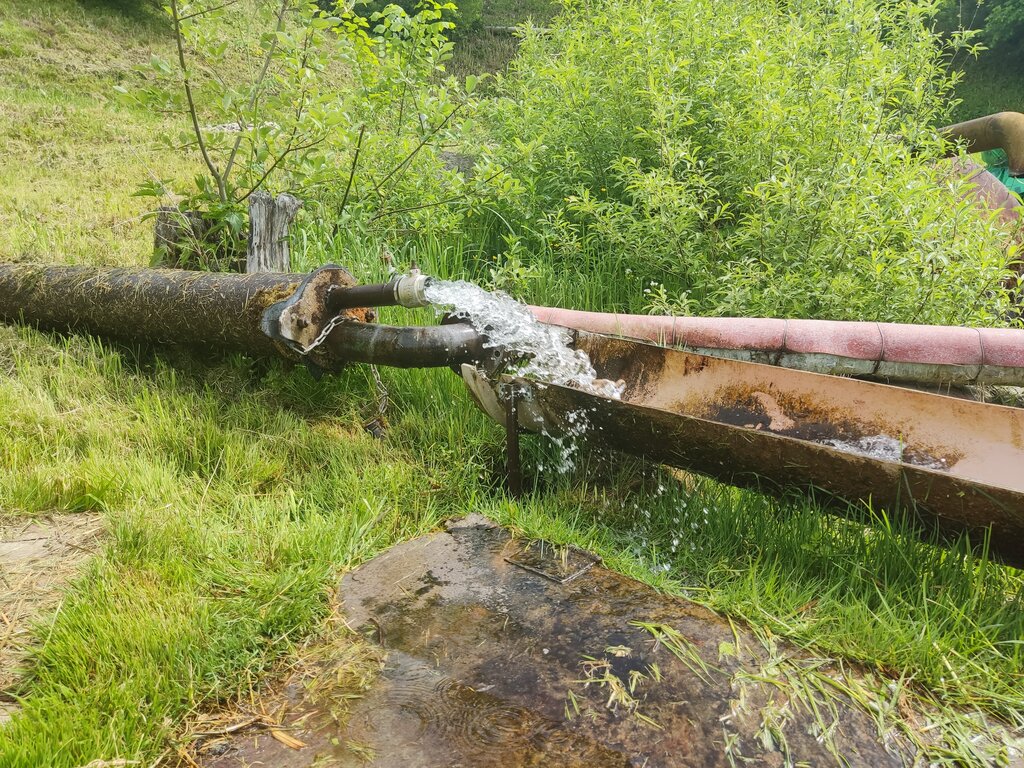 Pınar, çay Гремячий ключ, Nijegorodskaya oblastı, foto