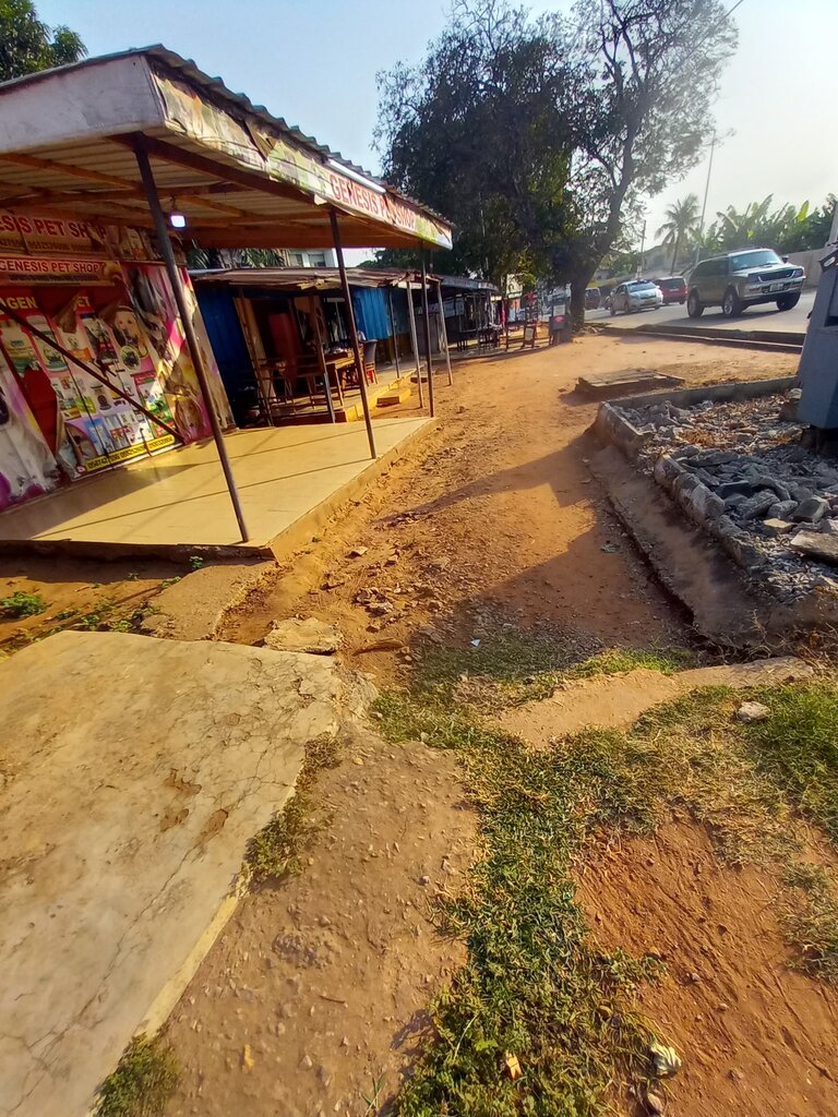 Petshop Genesis, Akra, foto