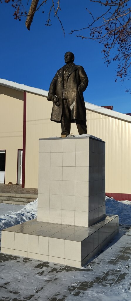 Anıt, heykel В.И. Ленин, Omskaya oblastı, foto