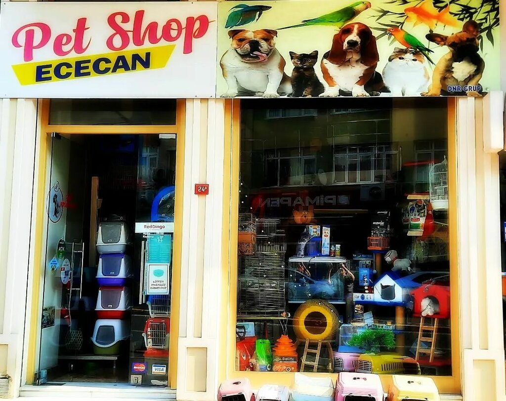 Petshop Pet Shop Ececan, İstanbul, foto