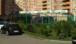 Футбольная площадка (Krasnodar, mikrorayon Gubernskiy), spor alanı  Krasnodar'dan