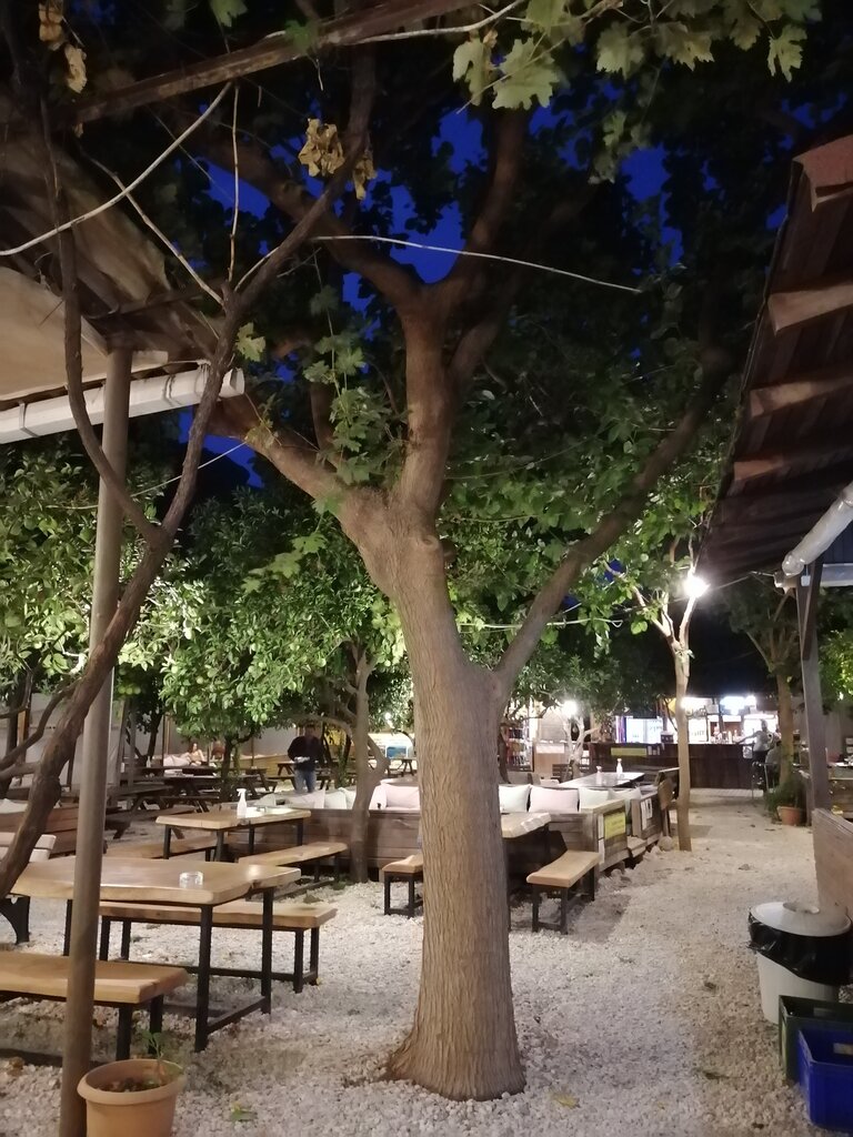 Otel Bayrams Tree Houses, Kumluca, foto
