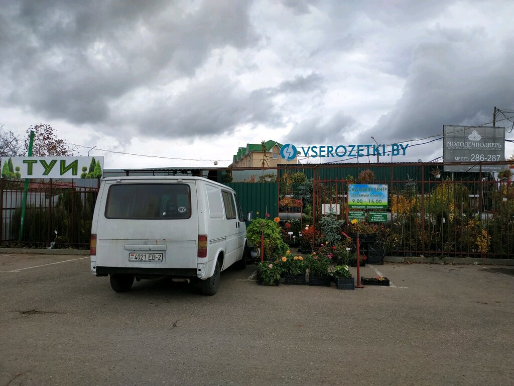 Sera ve bahçe ürünleri Зеленый стиль, Vitebsk, foto