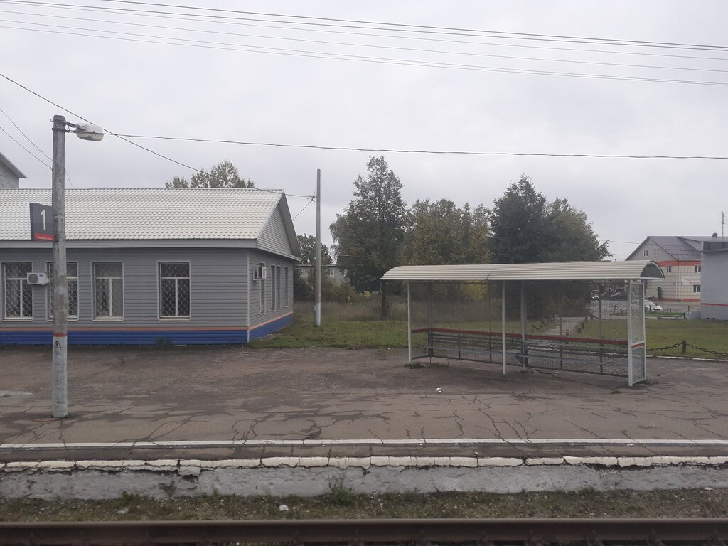 Tren istasyonu Vyortnoye, Kalujskaya oblastı, foto