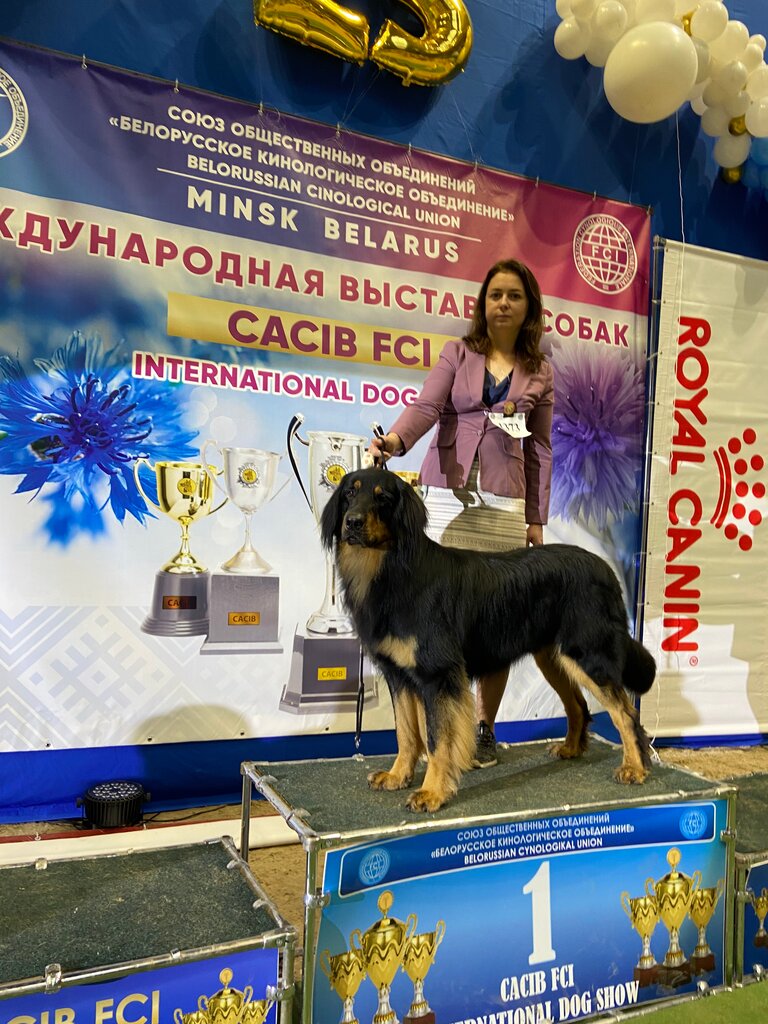 Evcil hayvan kuaförleri Grooming studiya Nadezhdy Breganovoy, Moskova, foto