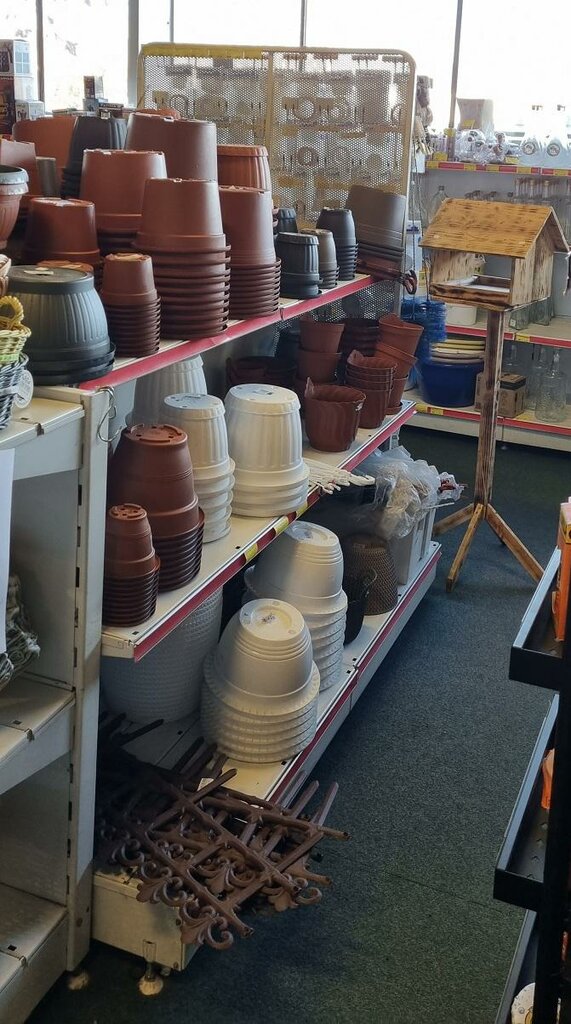 Tarım ürünleri firmaları Dpmg Zrt. Gazdaáruház és vetőmag feldolgozó üzem, Pest, foto