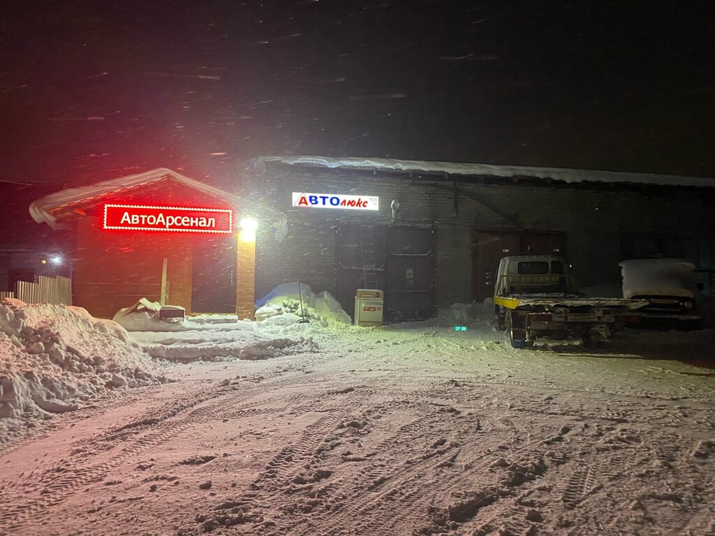Otomobil yedek parçaları Avtoluks 159, Berezniki, foto