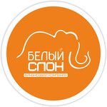 Bely slon (Gagarina Street No:17), hukuk büroları  Izhevsk'ten