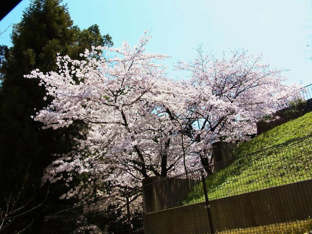 Otel Guesthouse Engawa, Kyoto, foto