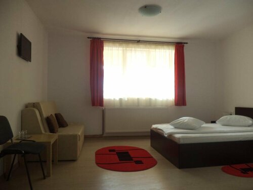 Otel Pensiunea Aliart, Zarneşti, foto